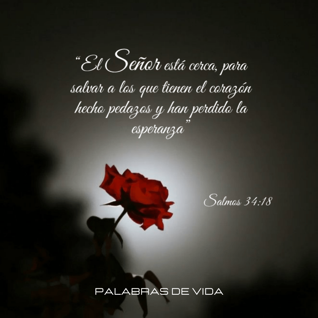 Oración ante una perdida inesperada | Palabras de Vida - Mensajes y ...